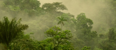 Microsoft Sustainability Manager | Microsoft