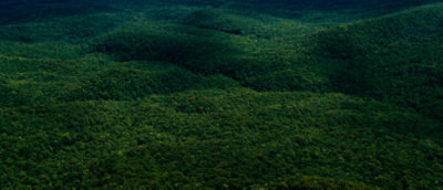 Space Intelligence fuels climate action with Microsoft Foundry ...