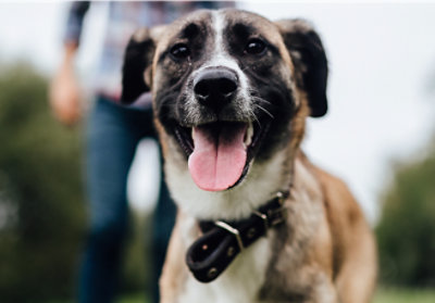 Azure Functions – Serverless Functions in Computing | Microsoft Azure