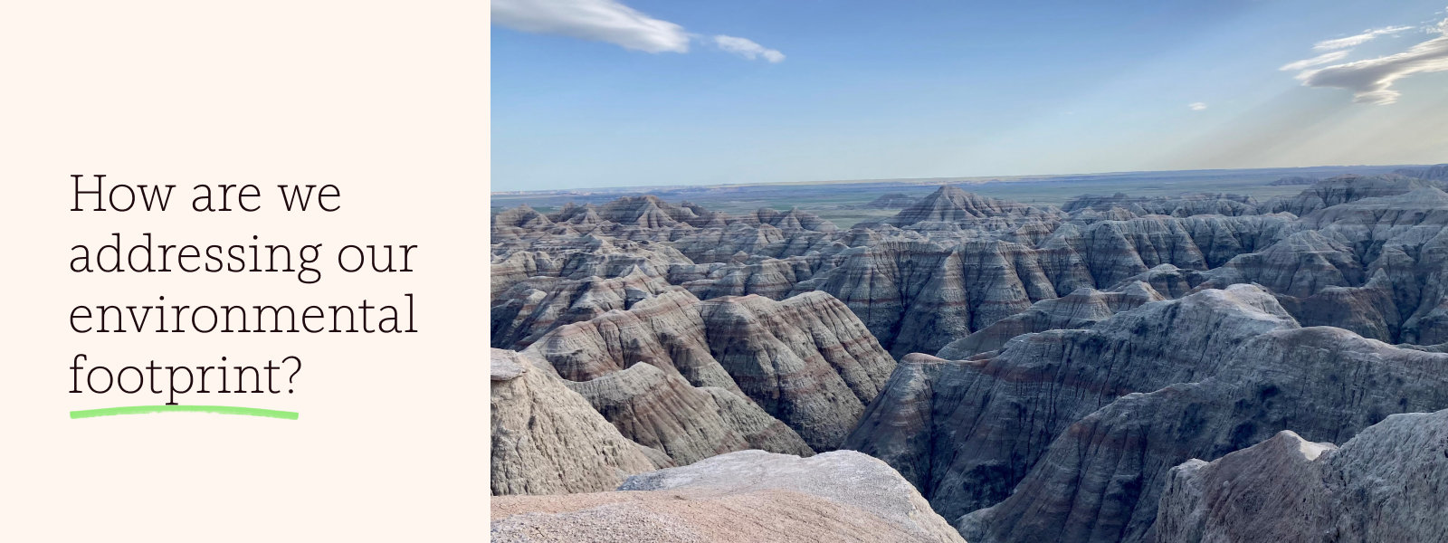 2024 Environmental Sustainability Report | Microsoft CSR