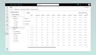 Data Analytics Microsoft Fabric