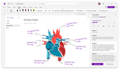 How To Use Microsoft Onenote For Work One Note Microsoft Powerpoint