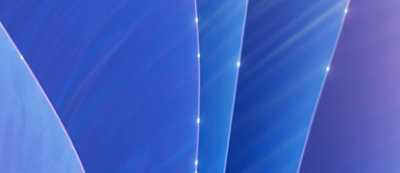 Responsible AI Principles and Approach | Microsoft AI