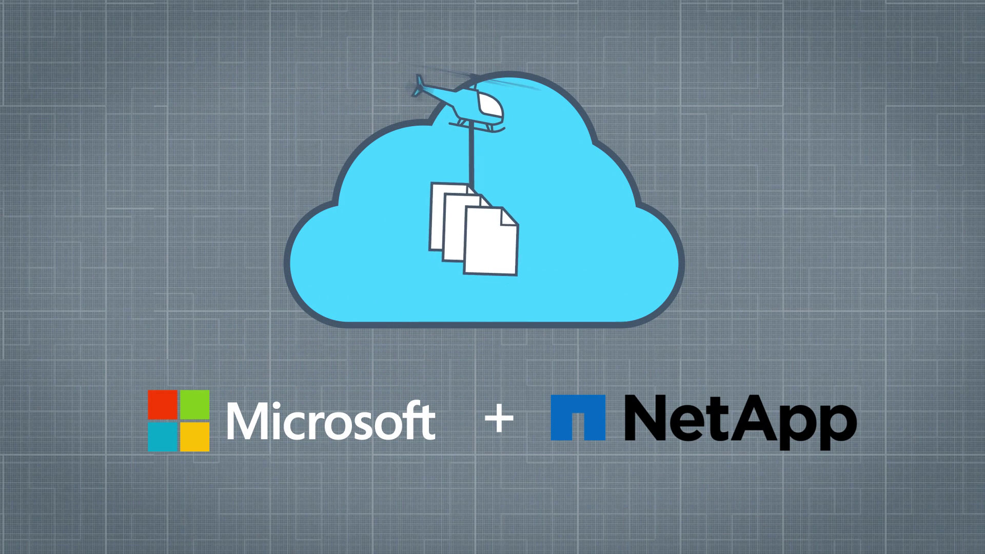 Netapp Logo