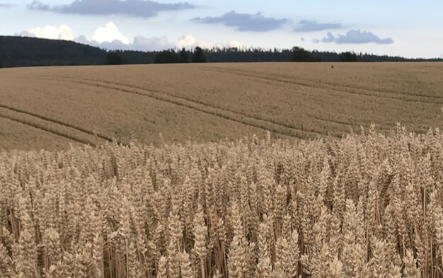 Azure についての理解を深める | Microsoft Azure