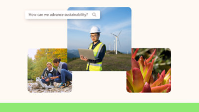 Environmental Sustainability | Microsoft CSR